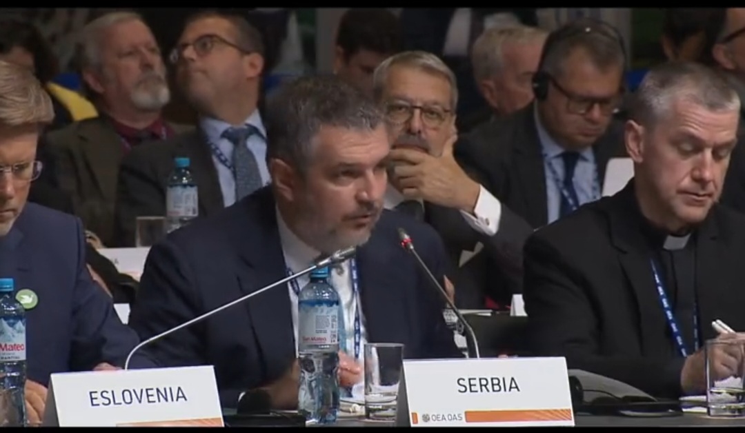 Assistant Minister Vladimir Marić at the session of the General ...